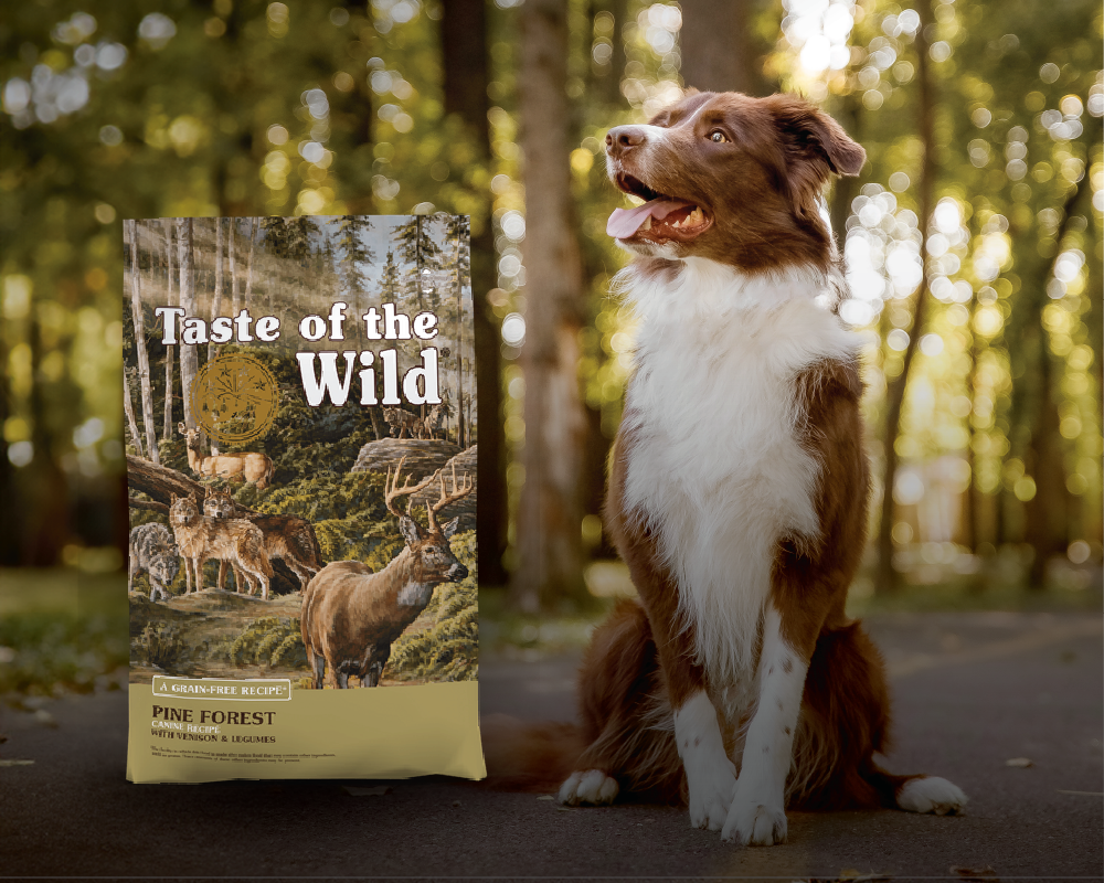 TOTW landing page | Pet Arabia