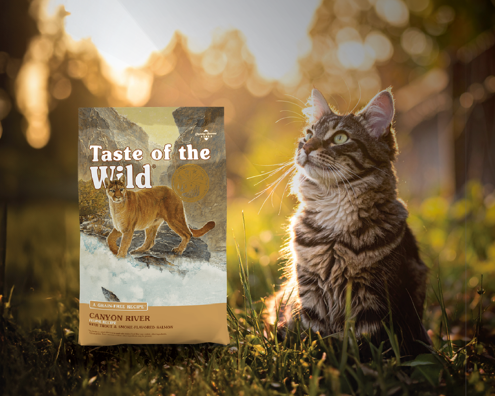 TOTW landing page | Pet Arabia