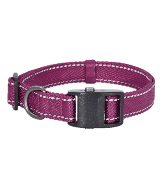 Dogness Challenger Herringbone Webbing Collar Purple | Pet Arabia