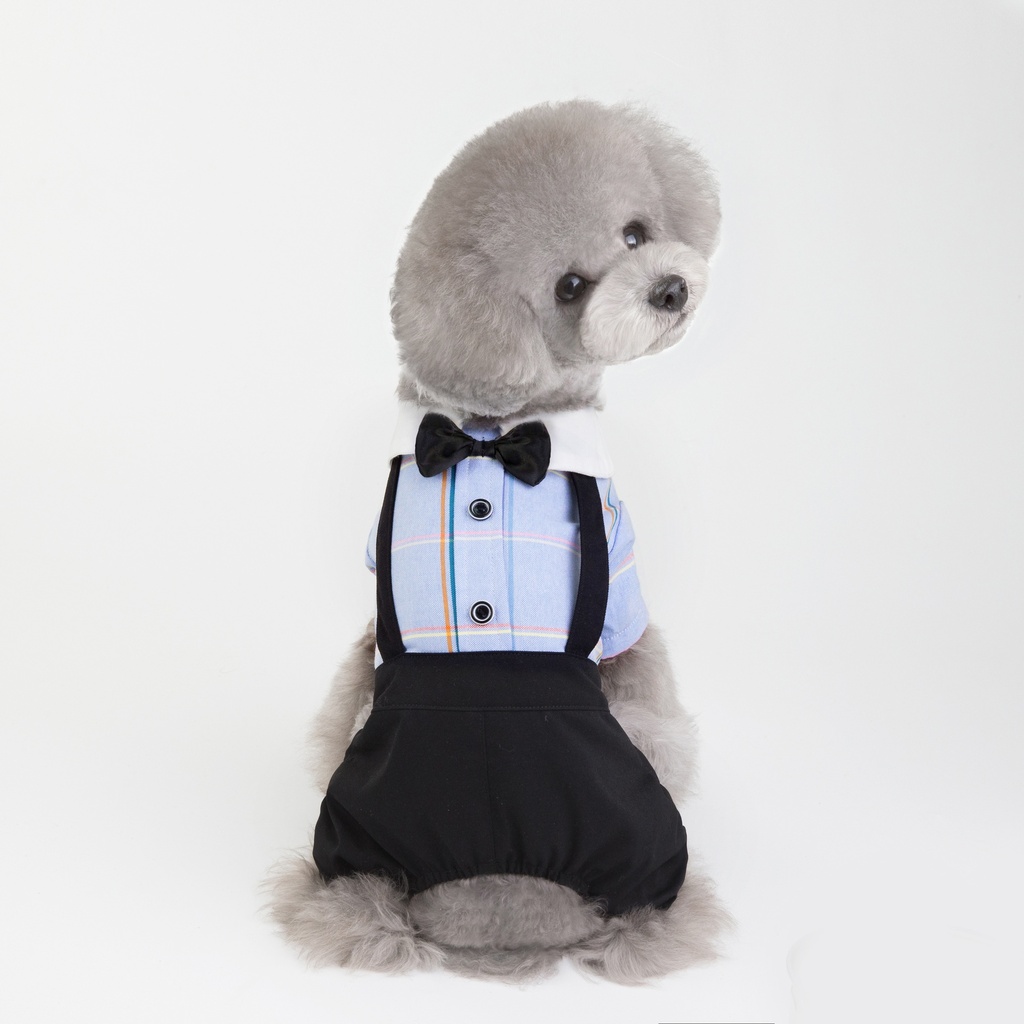 Pets.Love.Earth Pet Suit With Bow Blue | Pet Arabia